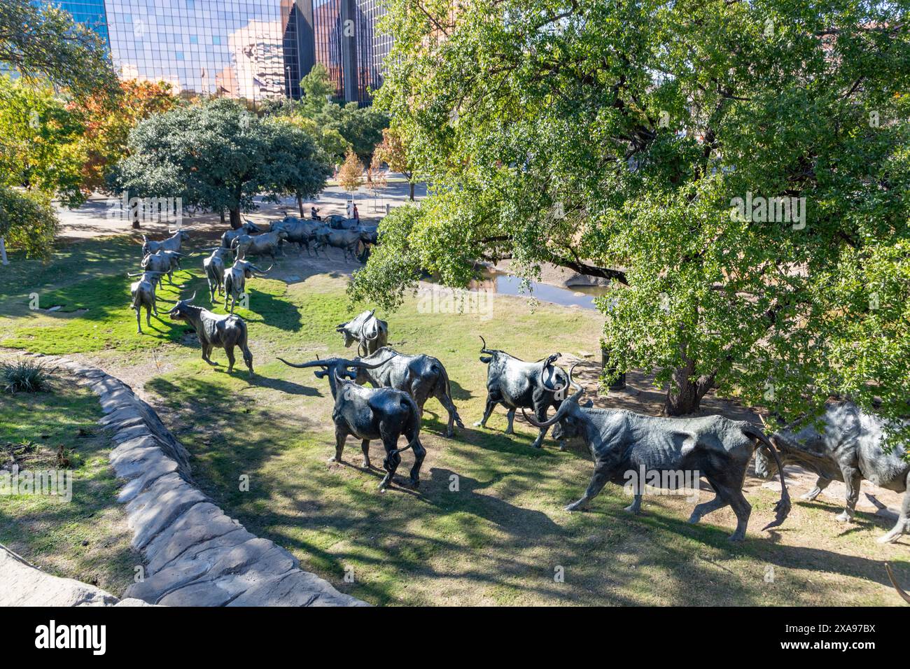 Dallas, USA - November 6, 2023: Sculpture of longhorn cattle herd ...