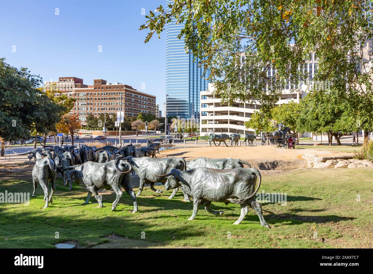 Dallas, USA - November 6, 2023: Sculpture of longhorn cattle herd ...