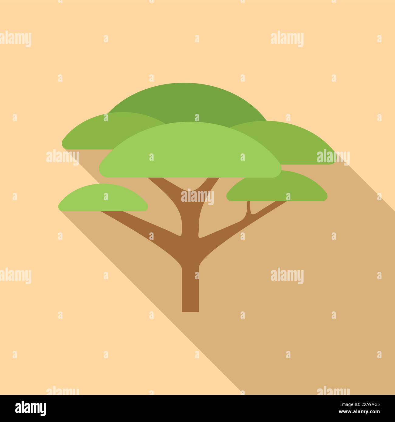 Simple stylized baobab tree casting a long shadow on the ground Stock ...