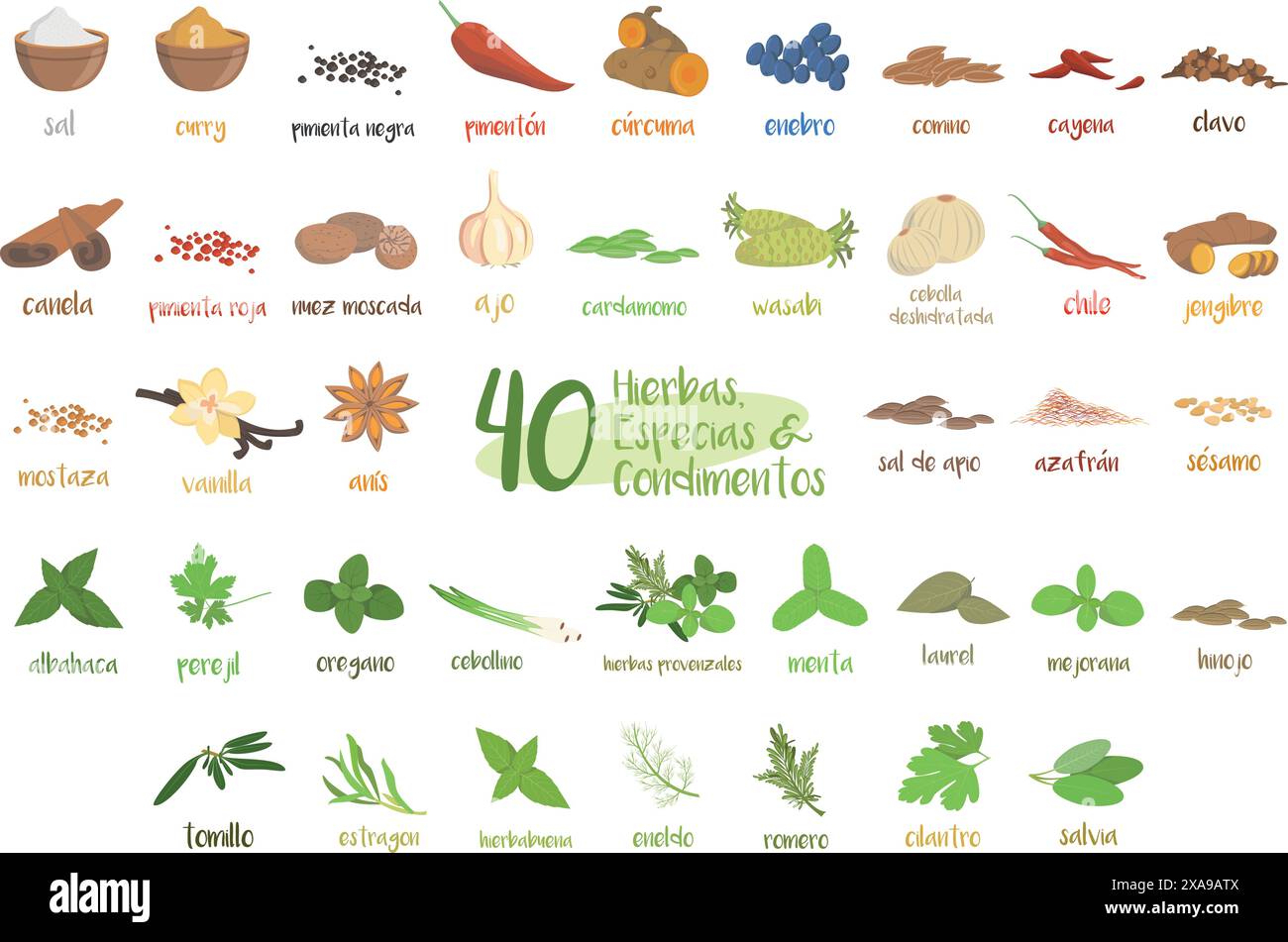 Set of 40 different culinary herbs, species and condiments in cartoon ...