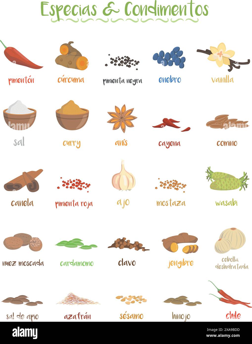Set of 25 different culinary species and condiments in cartoon style ...