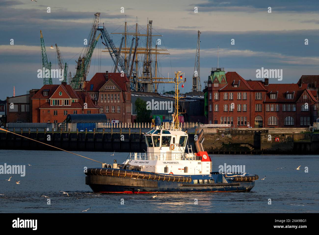 Schlepper VB Perfect 04.06.24, Hamburg, Containerschiff, Â *** Tug VB ... Schlepper VB Perfect 04.06.24, Hamburg, Containerschiff, Â *** Tug VB ...