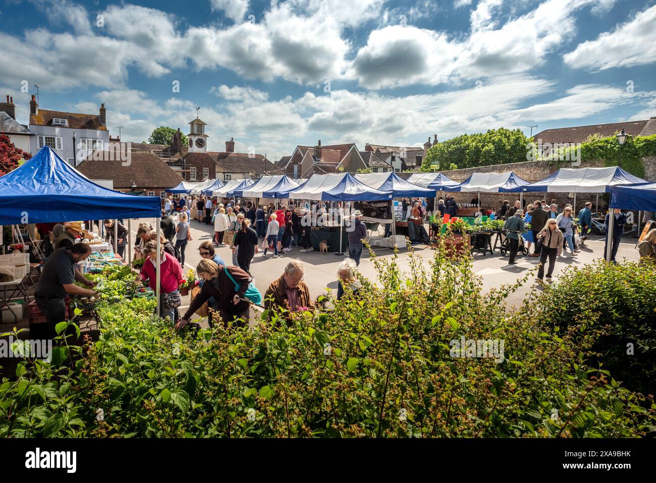 Steyning, June 1st 2024: Steyning Farmer's Market, held on the first ...