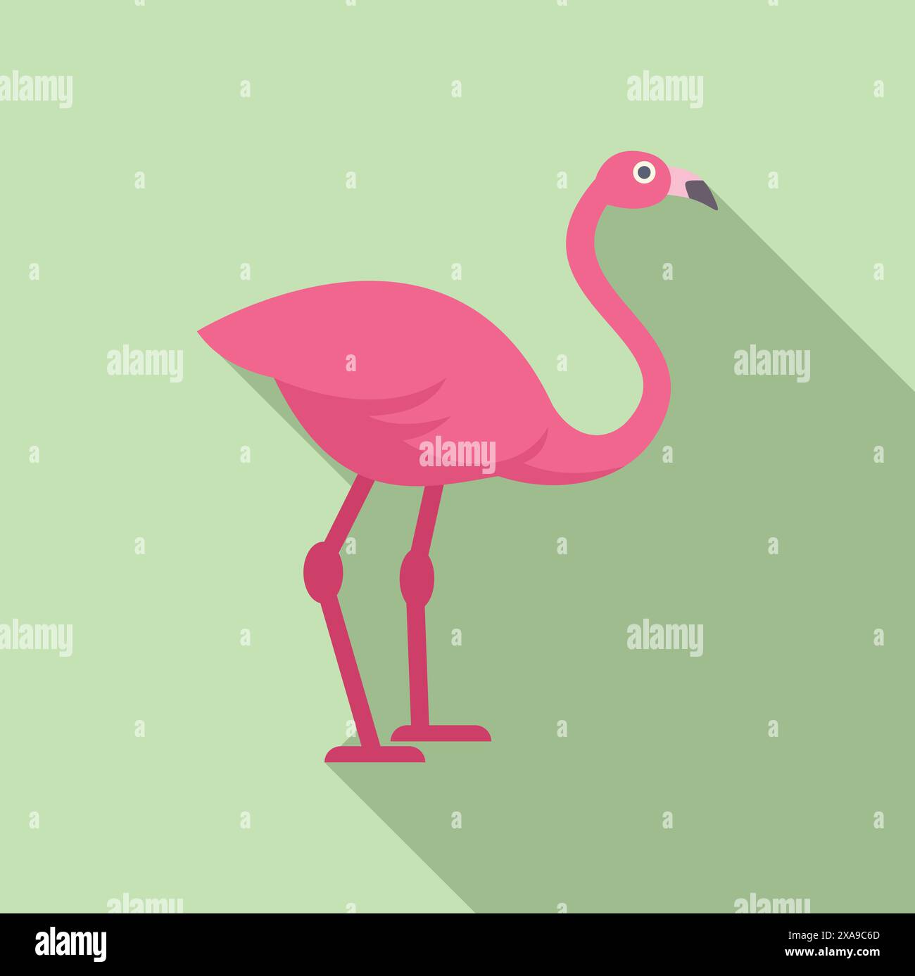 Graceful pink flamingo standing elegantly with long legs in a tropical ...