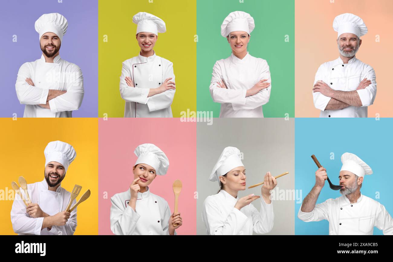 Collage with photos of professional chefs on different color ...