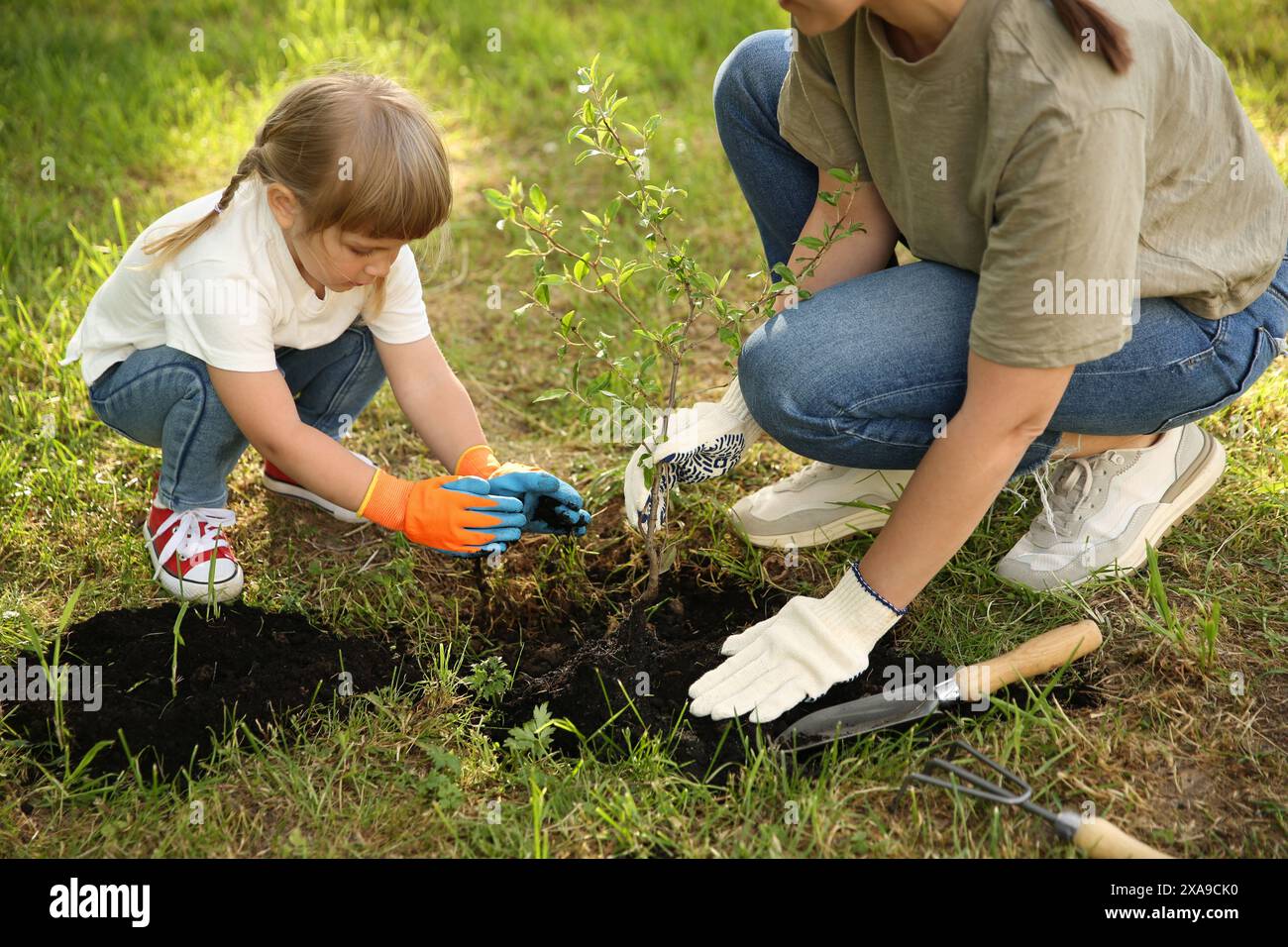 Mother and her daughter planting tree together in garden Stock Photo ...