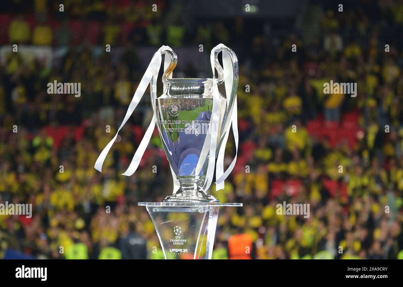 firo : 01.06.2024, football, soccer, UEFA CHAMPIONS LEAGUE, season 2023 ...