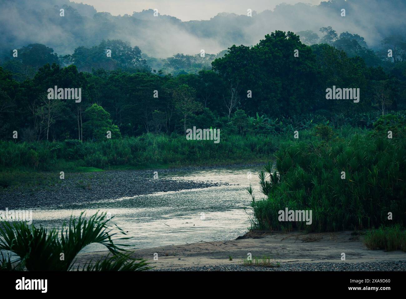 Tena river hi-res stock photography and images - Alamy