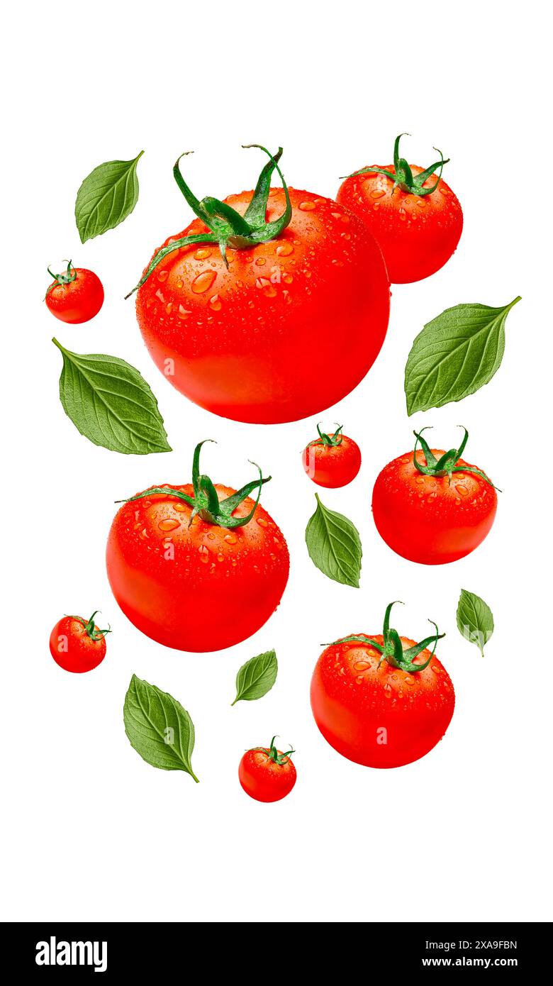 Falling Tomato Isolated on White Background with Green Leaves Stock ...