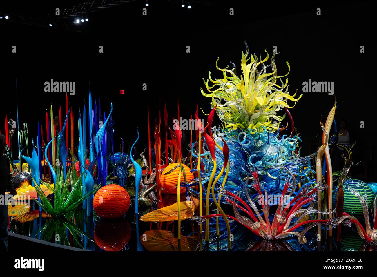 Biltmore Estate, Ashvellie, North Carolina, USA - Chihuly Exhibition is ...