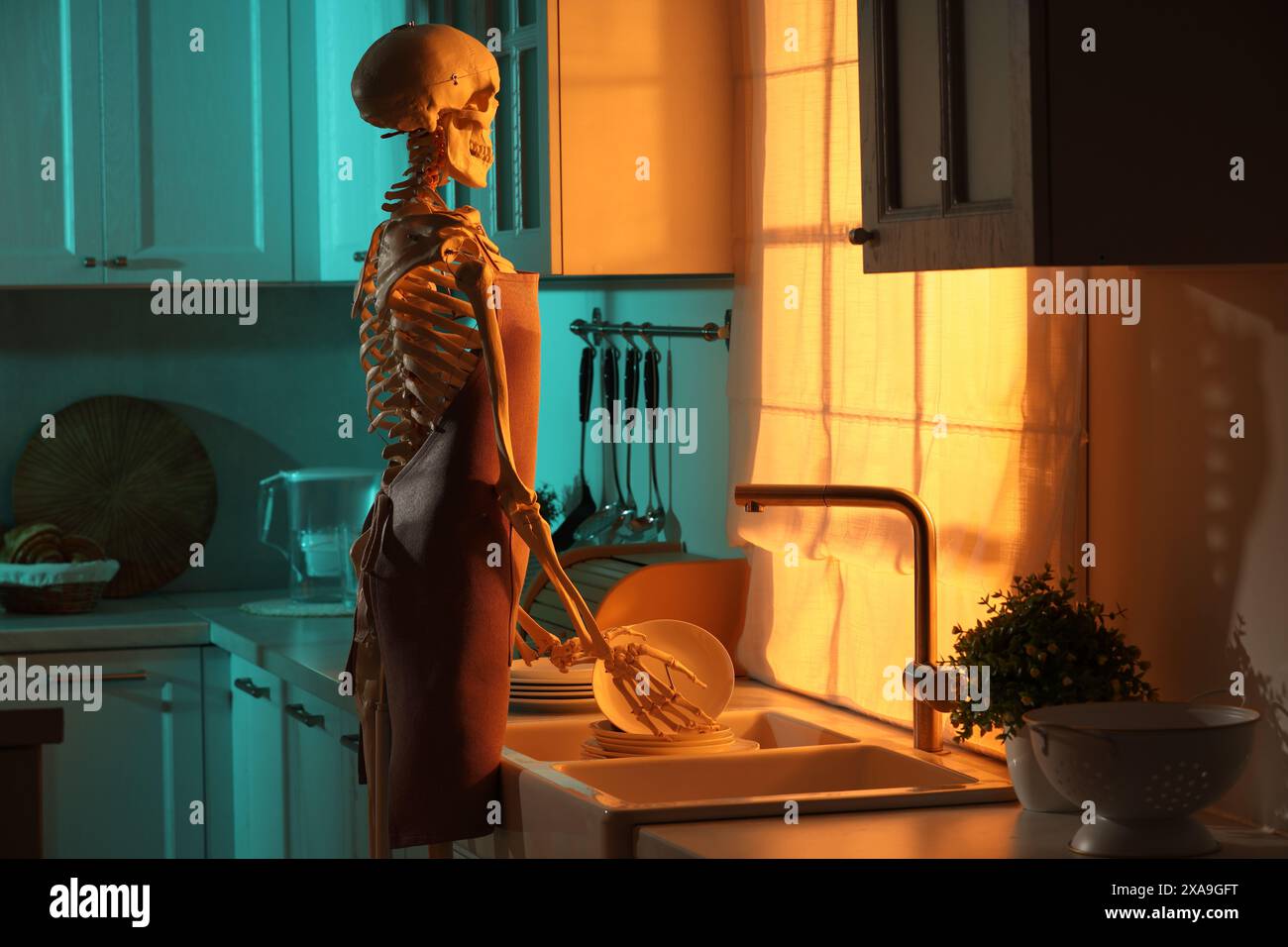 Human skeleton washing dishes in kitchen sink at night Stock Photo - Alamy