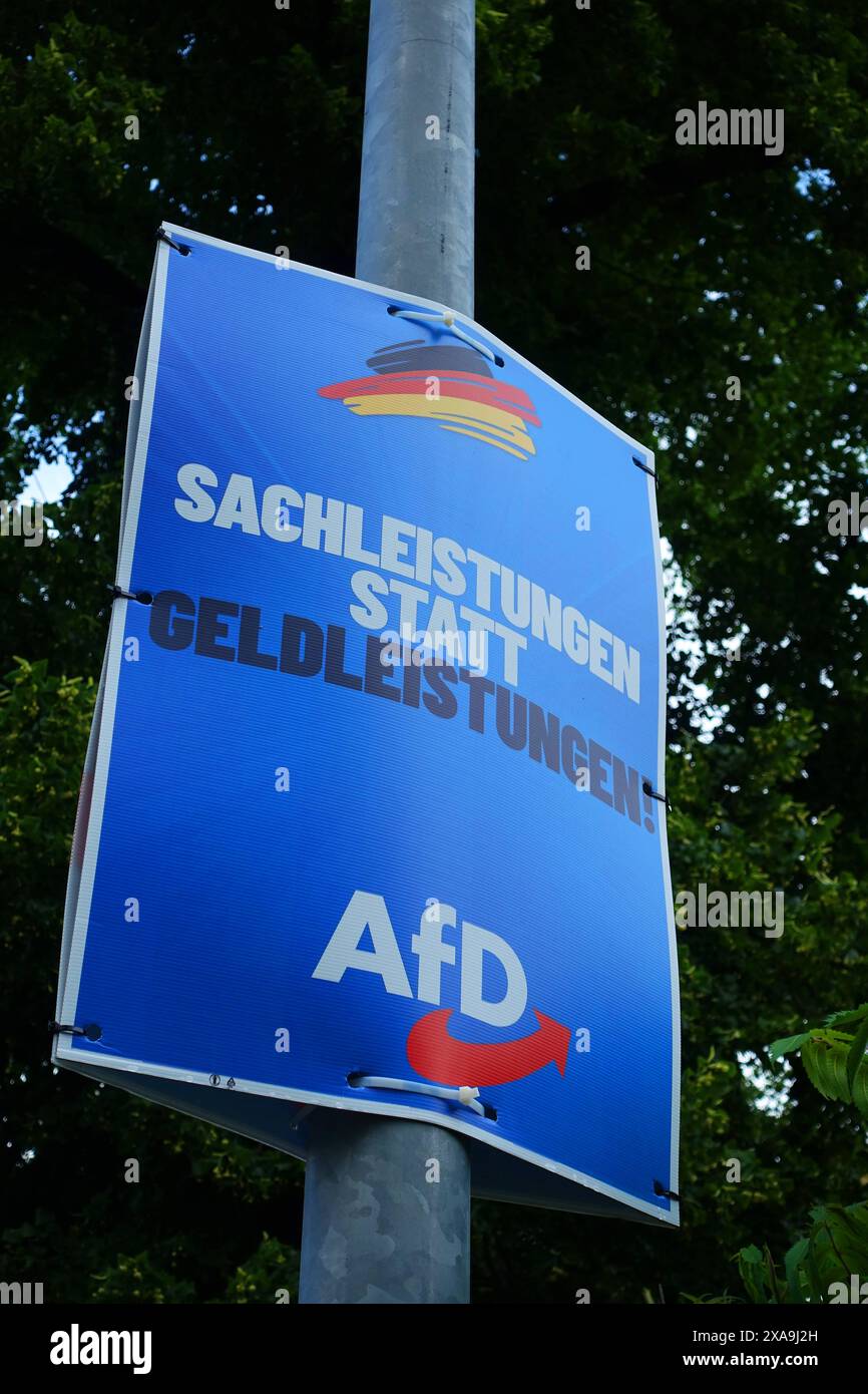AfD-Wahlplakat - Wahl zum Europäischen Parlament - Die Wahl zum ...