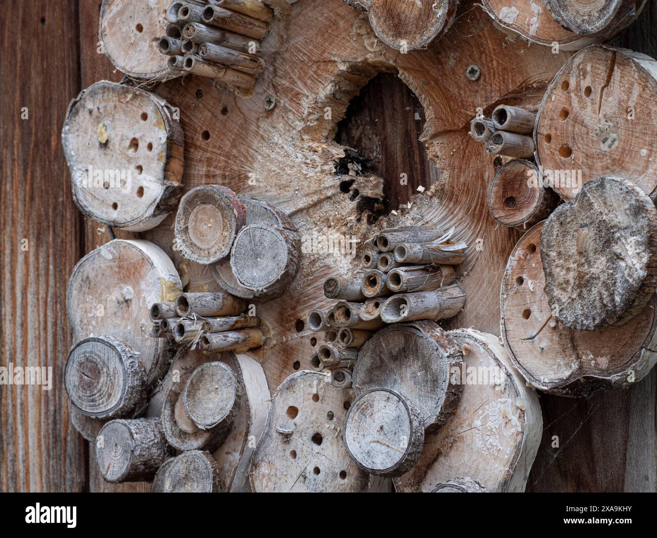 Insect hotels are nest boxes for bees and other insects hi-res stock ...