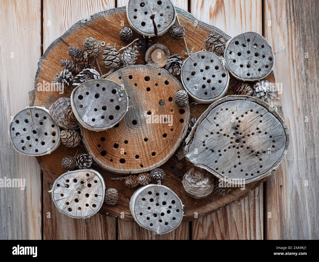 Insect hotels are nest boxes for bees and other insects, typically made ...