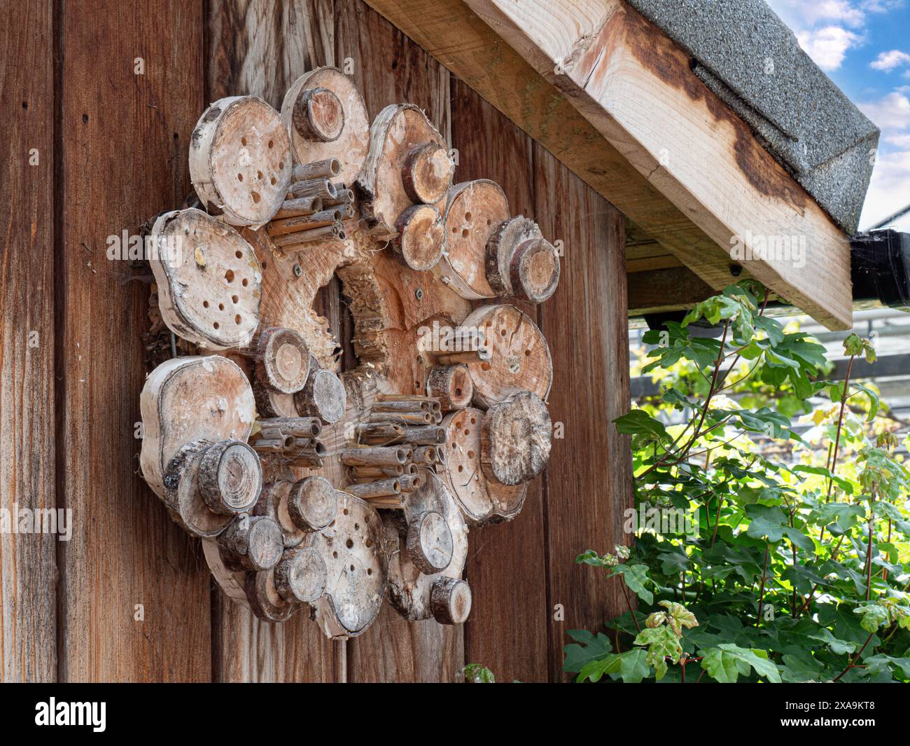 Insect hotels are nest boxes for bees and other insects hi-res stock ...