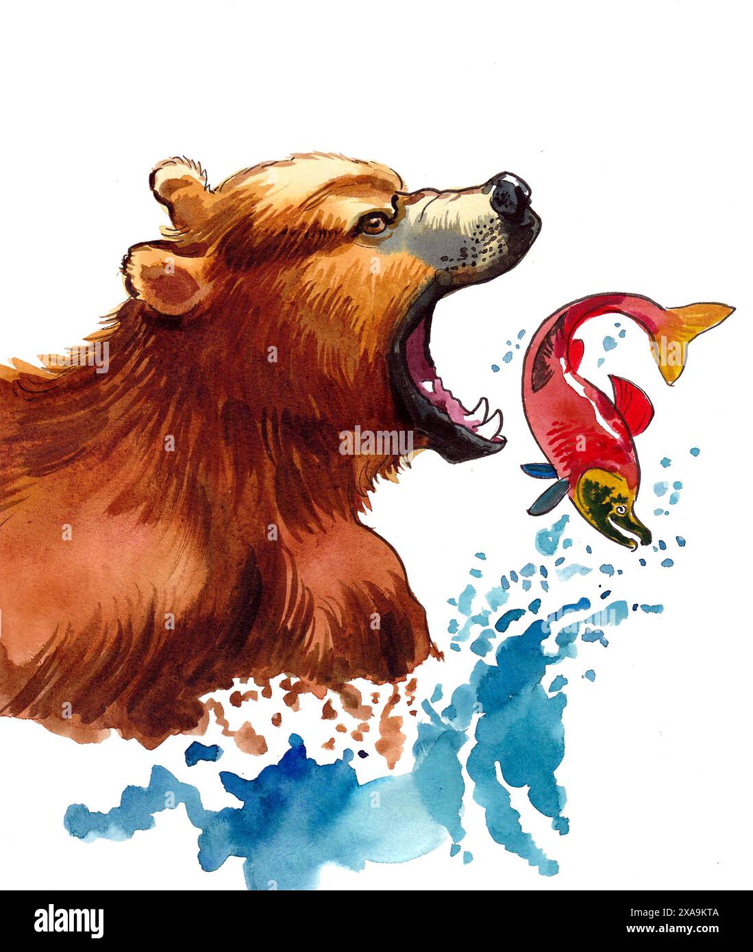 Salmon fish bear painting hi-res stock photography and images - Alamy
