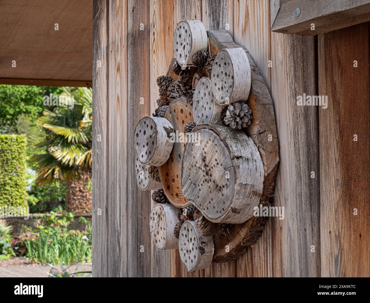 Insect bug hotels nest boxes for bees and other insects, typically made ...