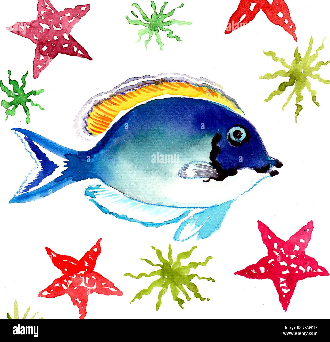 Coral reff fish hi-res stock photography and images - Alamy