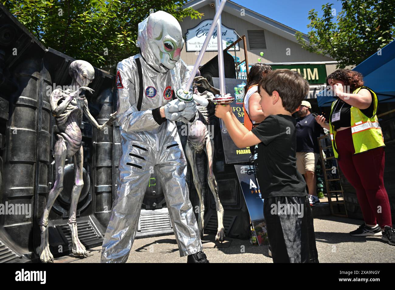 People dress in costumes at the 13th Annual Pine Bush UFO Fair on June ...