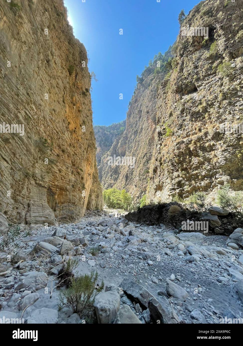 A narrow dirt road beside rocky walls with small plants Stock Photo - Alamy