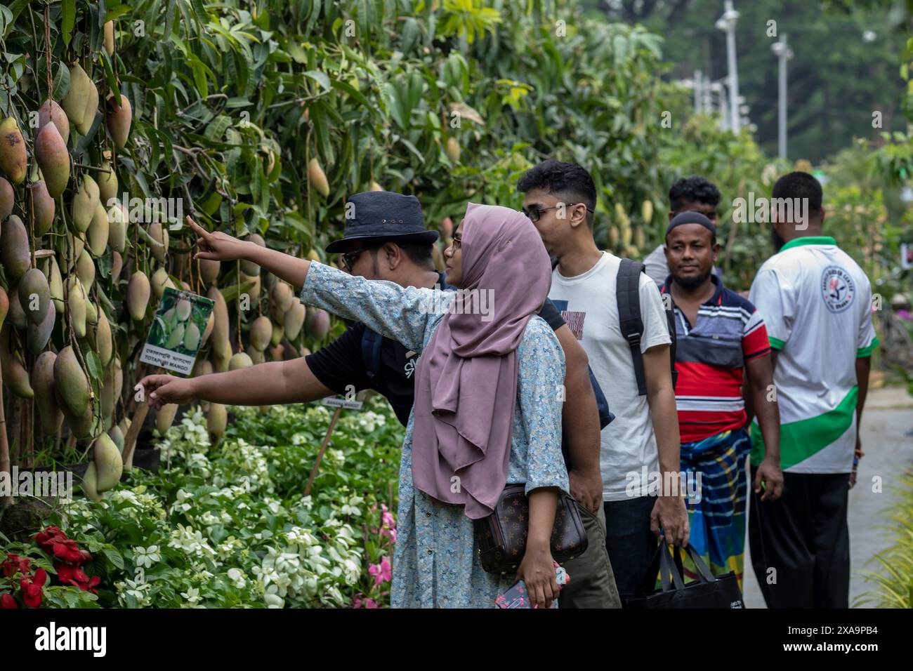 Visitors seen looking at mango fruits during the Bangladesh's month ...