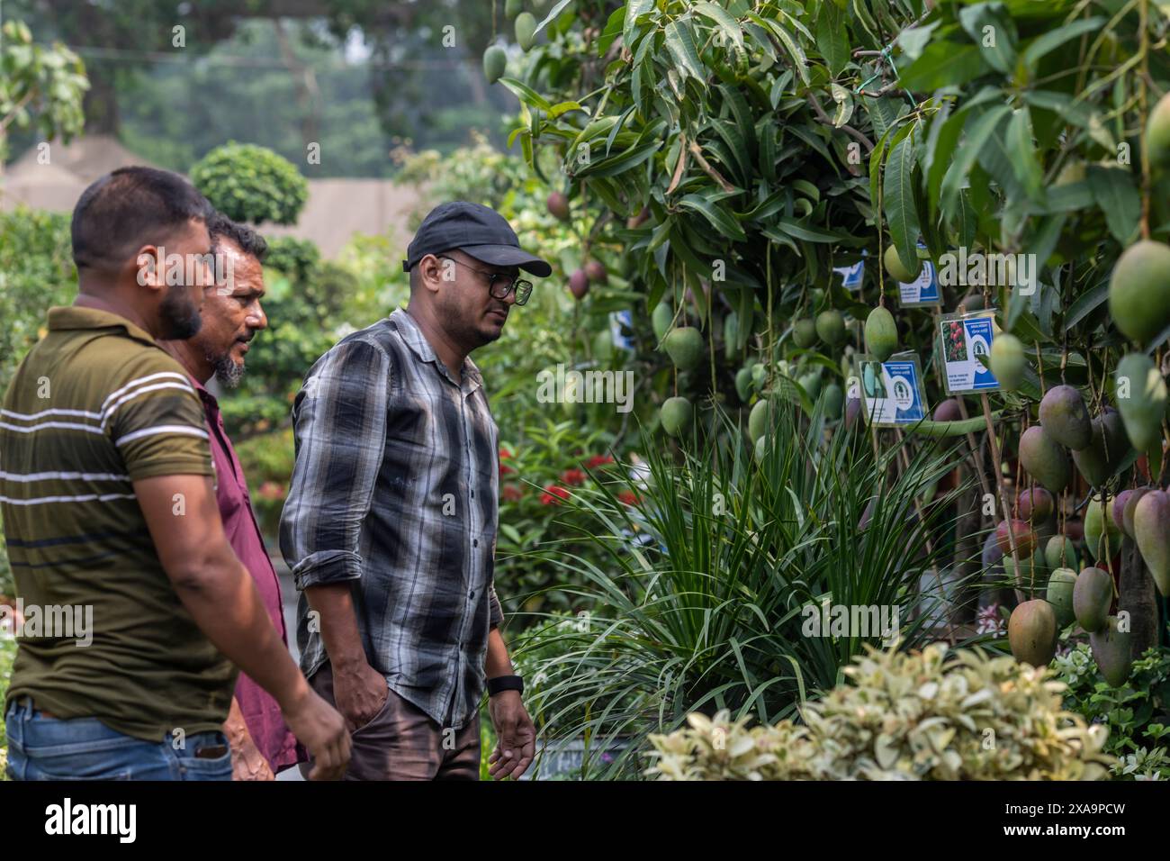 Bangla nagar hi-res stock photography and images - Alamy