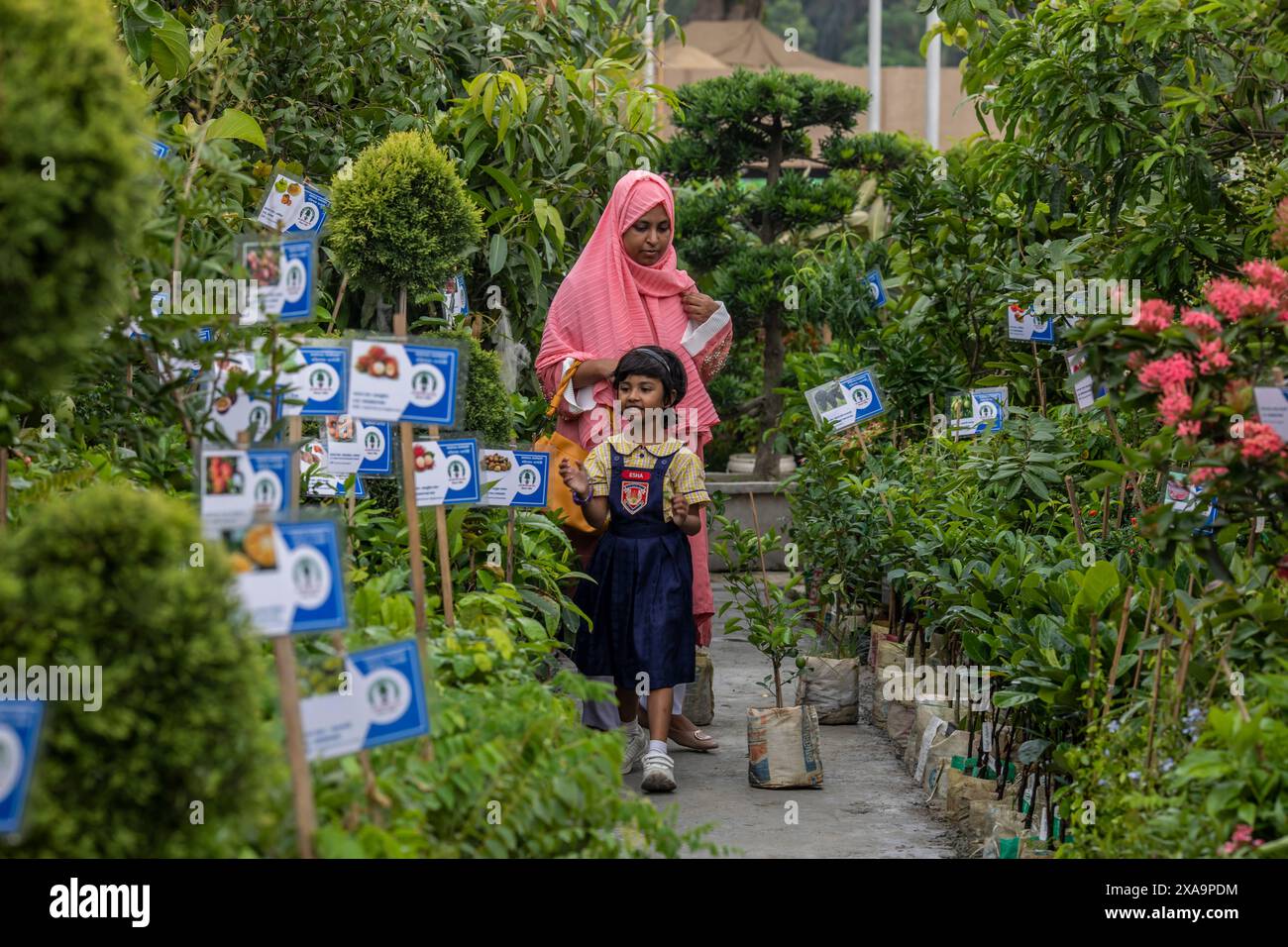 Visitors view plants, trees and saplings at Bangladesh s month-long ...