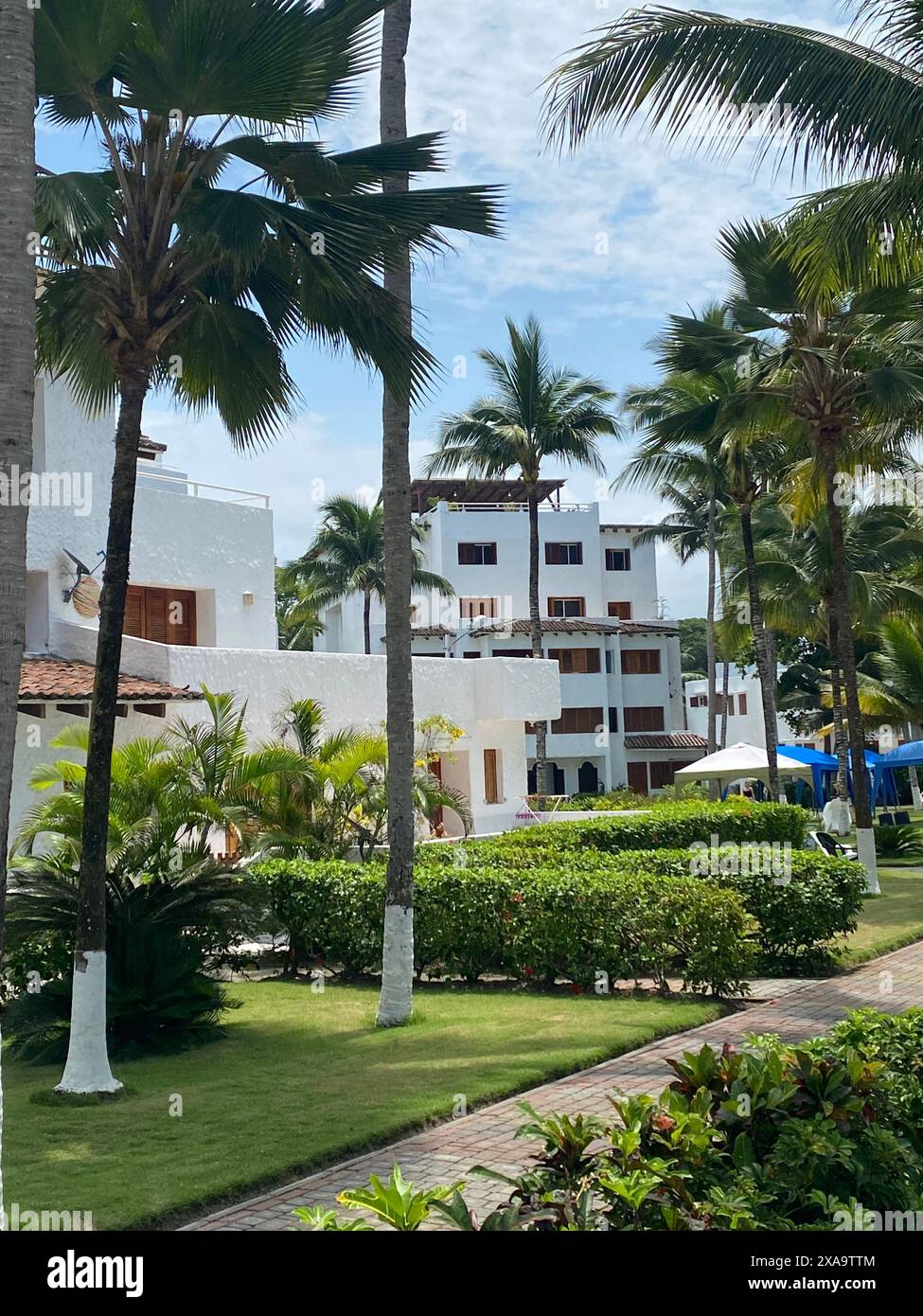 A spacious white edifice adjacent to a palm-lined resort Stock Photo ...