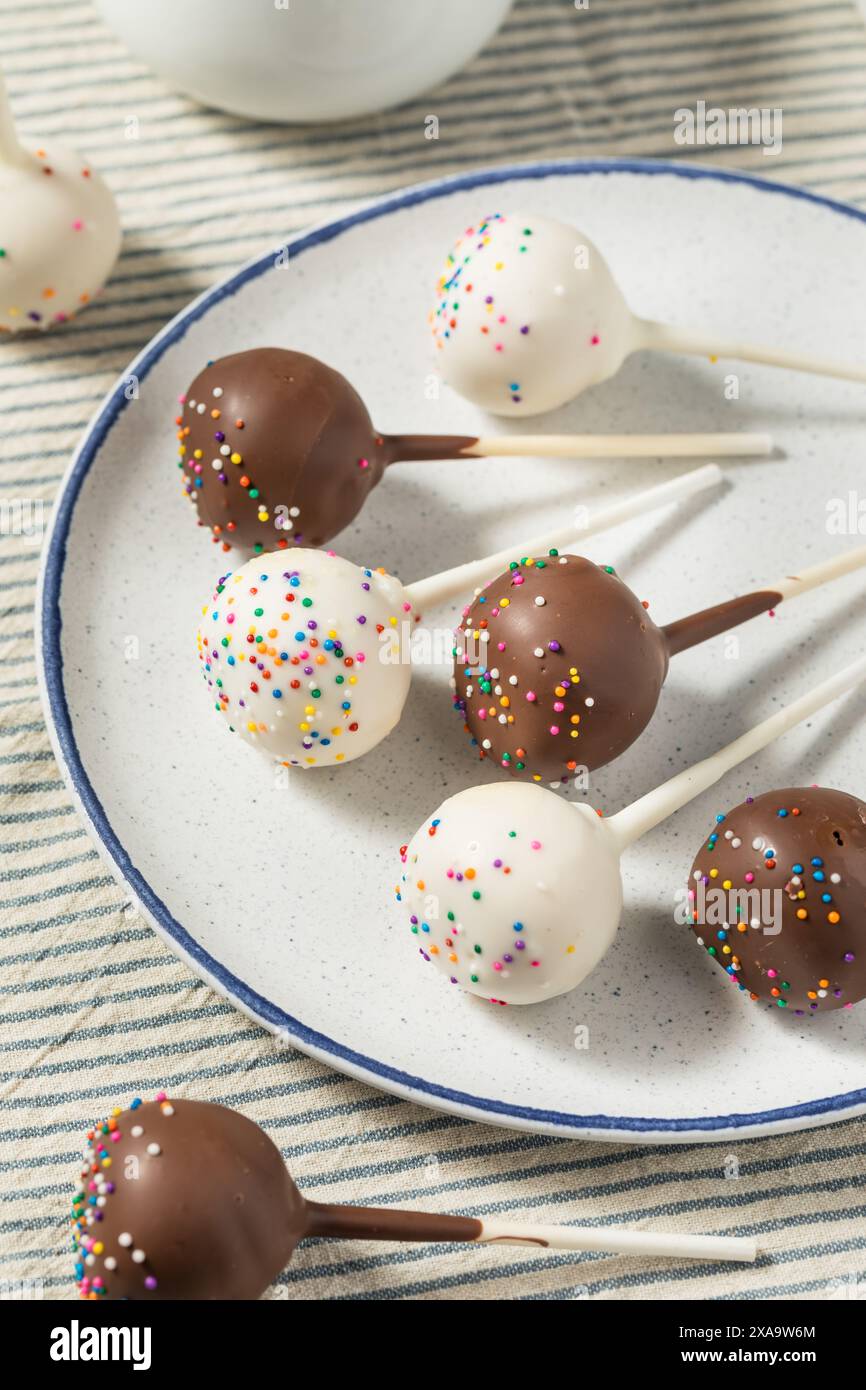 Homemade Vanilla and Chocolate Cake Pops with Sprinkles Stock Photo - Alamy
