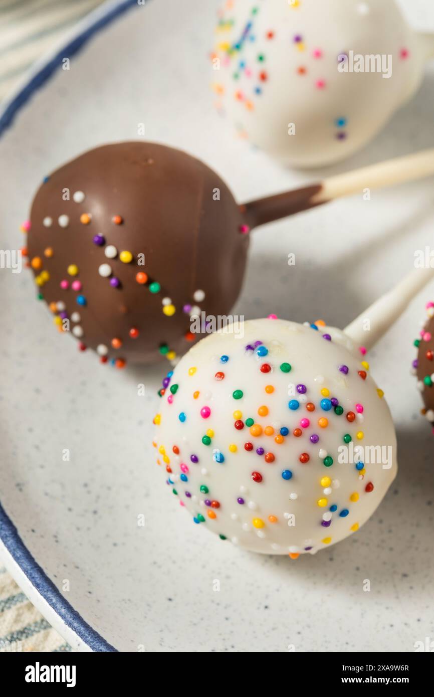Homemade Vanilla and Chocolate Cake Pops with Sprinkles Stock Photo - Alamy