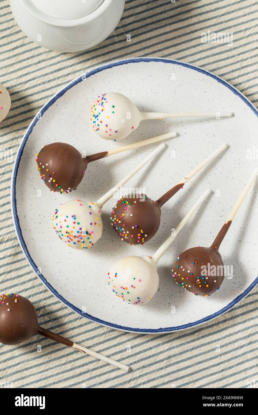 Homemade Vanilla and Chocolate Cake Pops with Sprinkles Stock Photo - Alamy