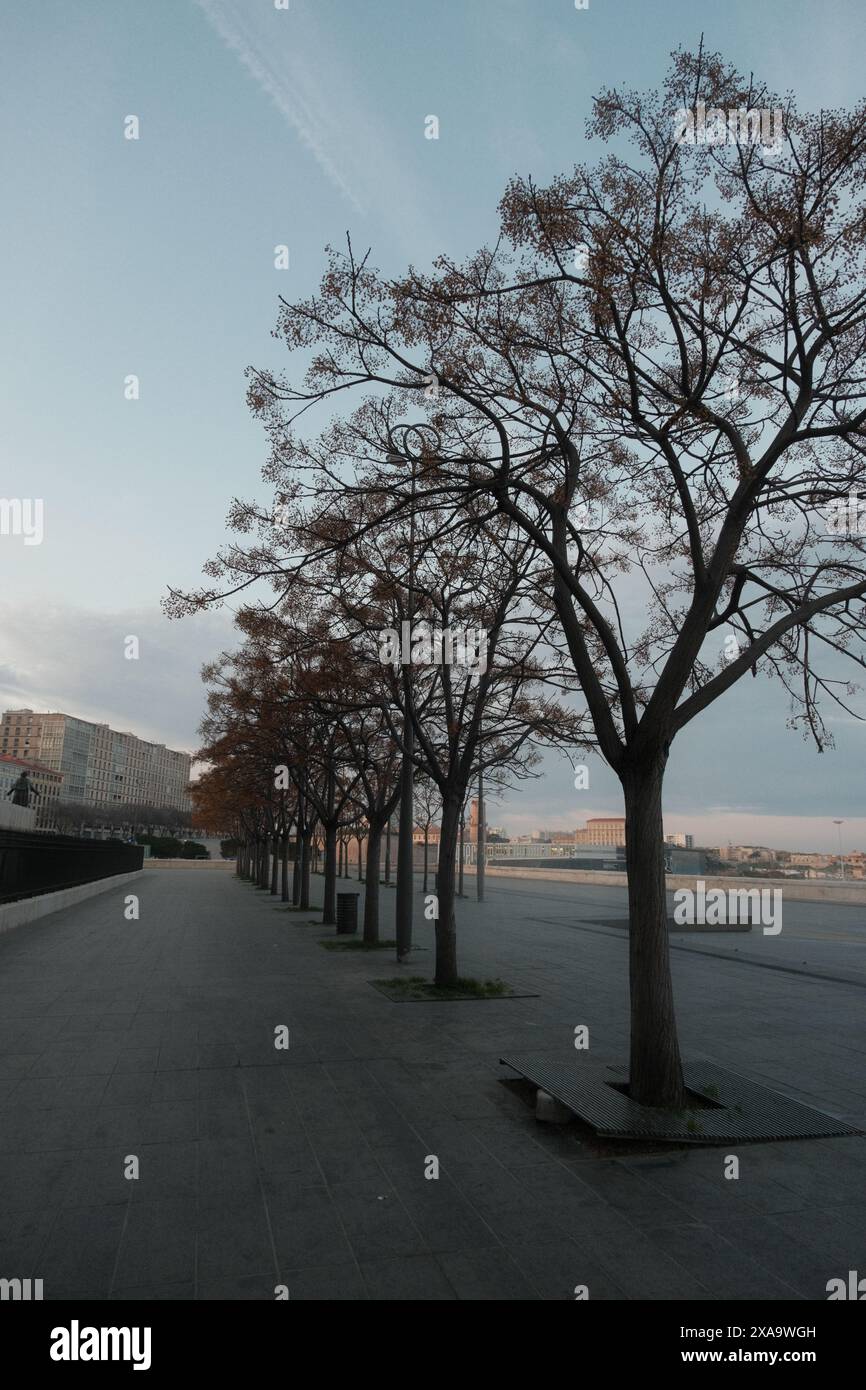 Scenic park view with trees and benches Stock Photo - Alamy