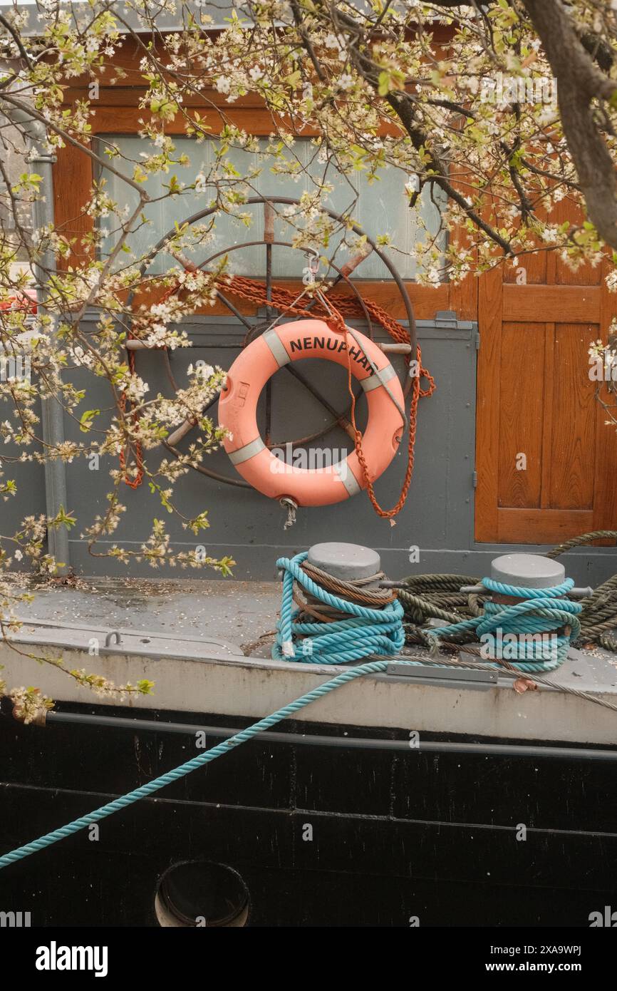 A lifebuoy attached to a boat's side with tree branches falling in the ...