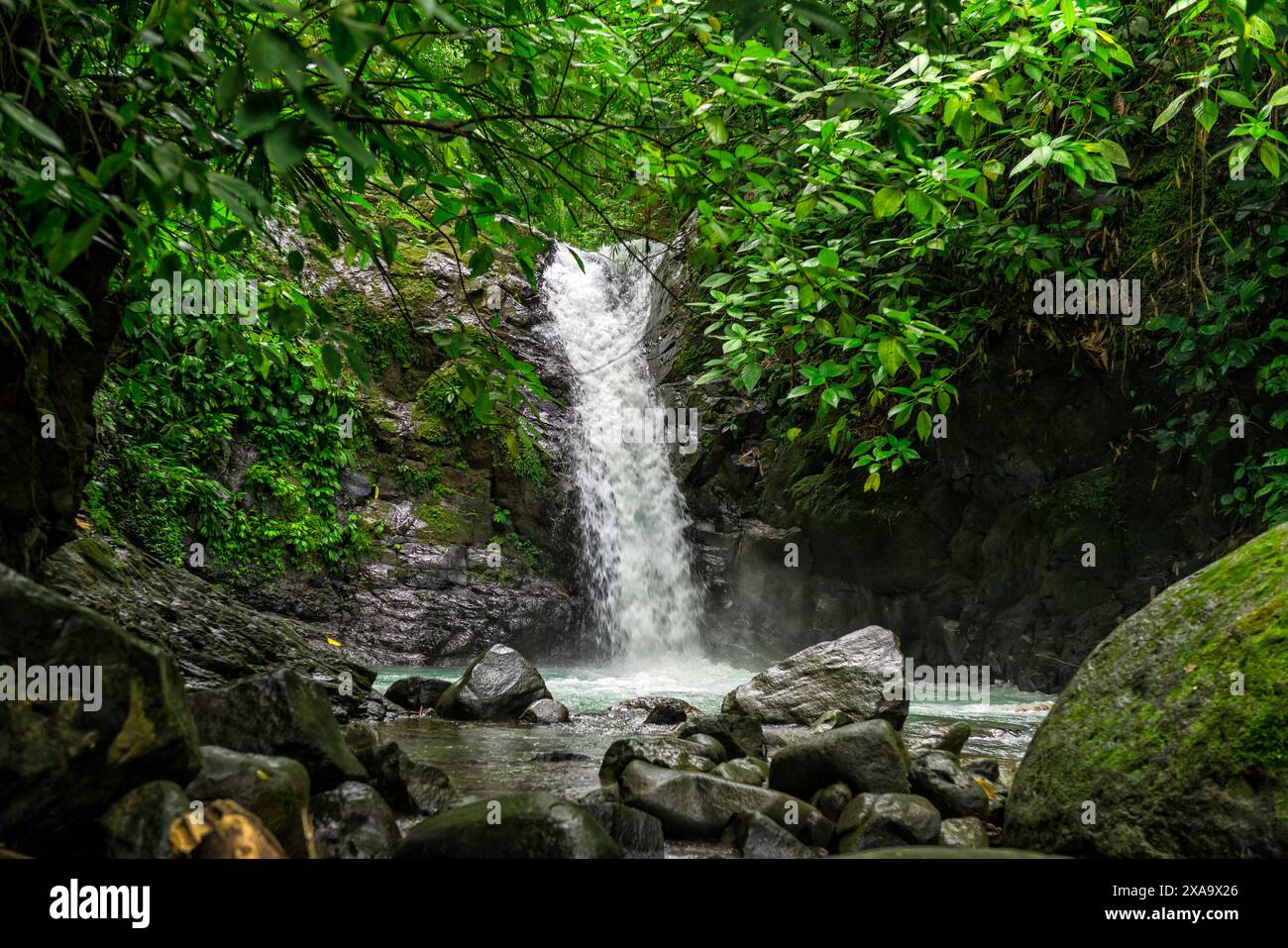Illuminated waterfall tranquility hi-res stock photography and images ...