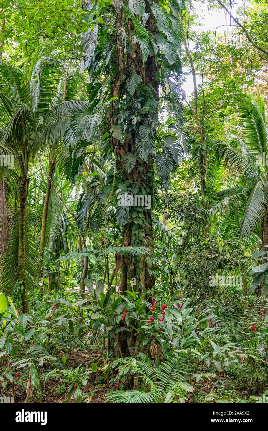 Diverse landscape hi-res stock photography and images - Alamy