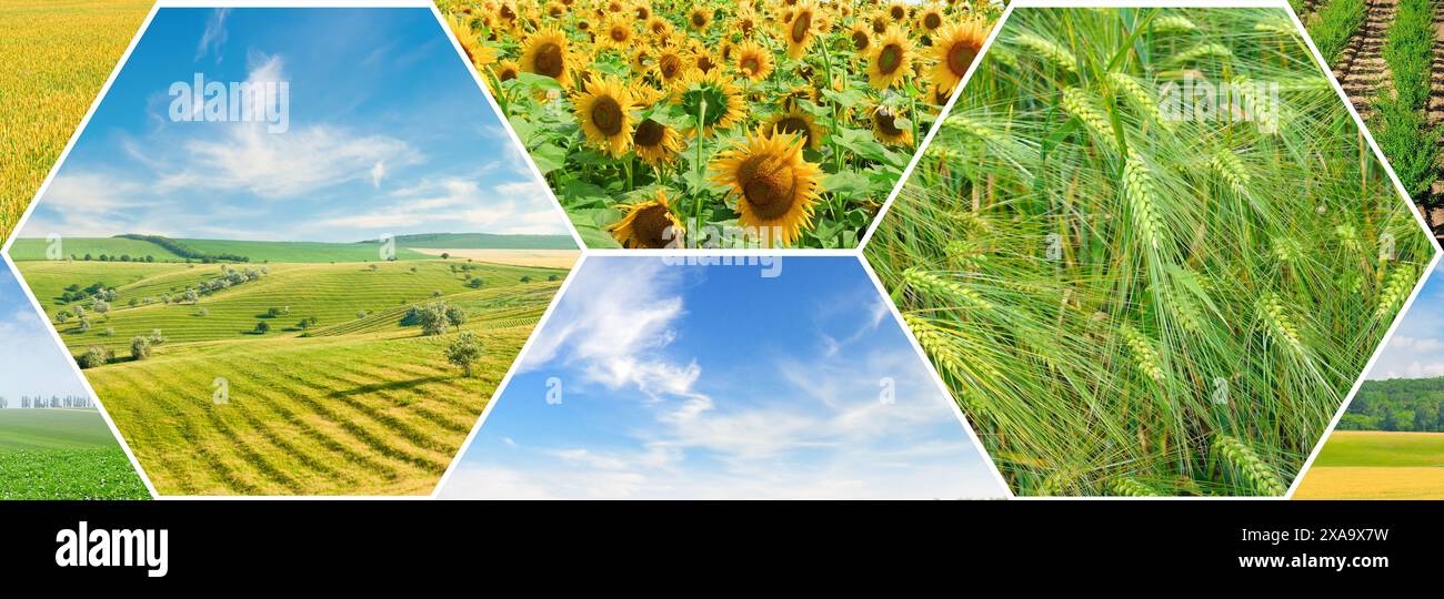 Collage beautiful nature landscapes hi-res stock photography and images ...