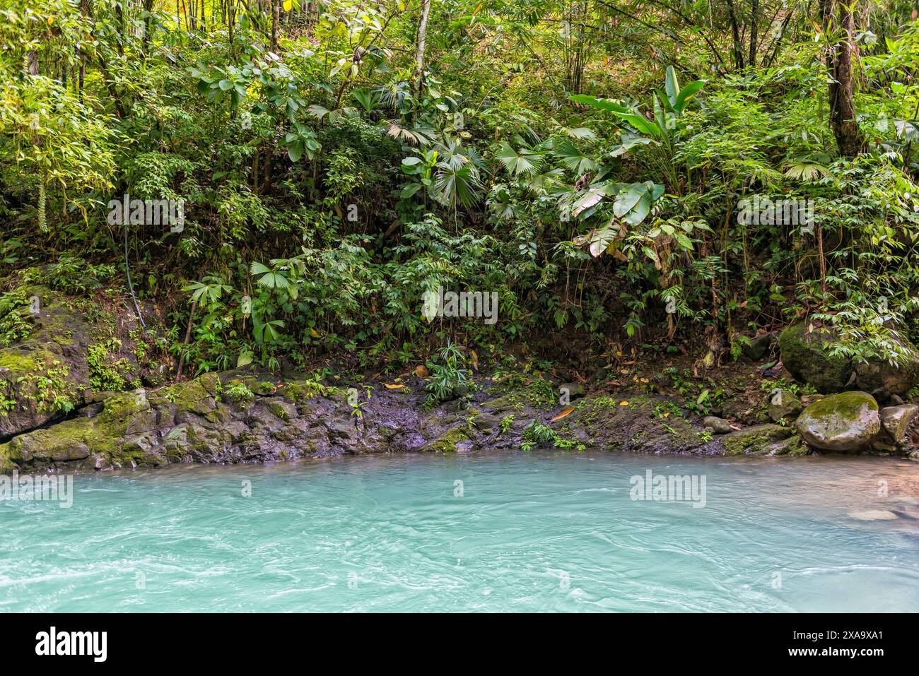 Peaceful wetland setting hi-res stock photography and images - Alamy