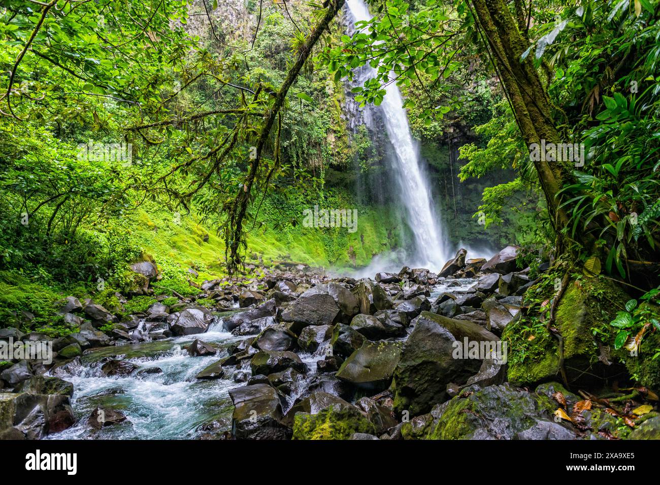 Waterfalls cascading from rocks and tree branches in foreground Stock ...