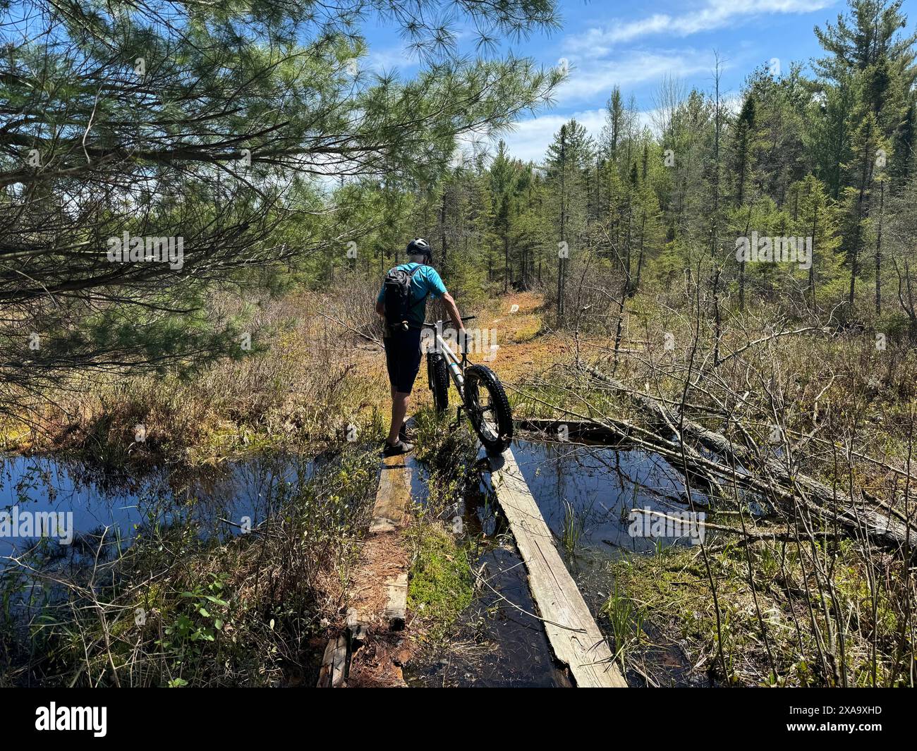 A man walks across a bridge spanning a gentle stream Stock Photo - Alamy