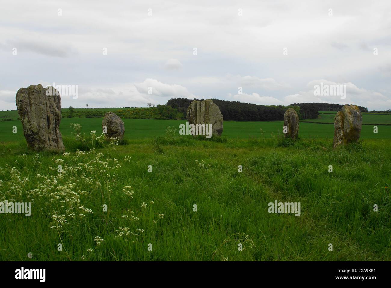 Duddu Five Stones in Northumberland, England, is a neolithic stone ...