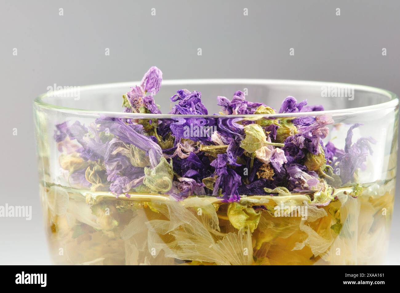 Dried Mallow Flowers Herbal Infusion Stock Photo - Alamy