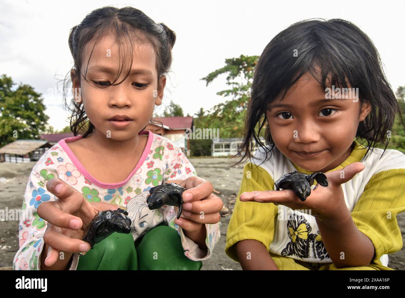 Central Sulawesi, Indonesia. 5th June, 2024. Children hold baby hawksbill sea turtles before ...