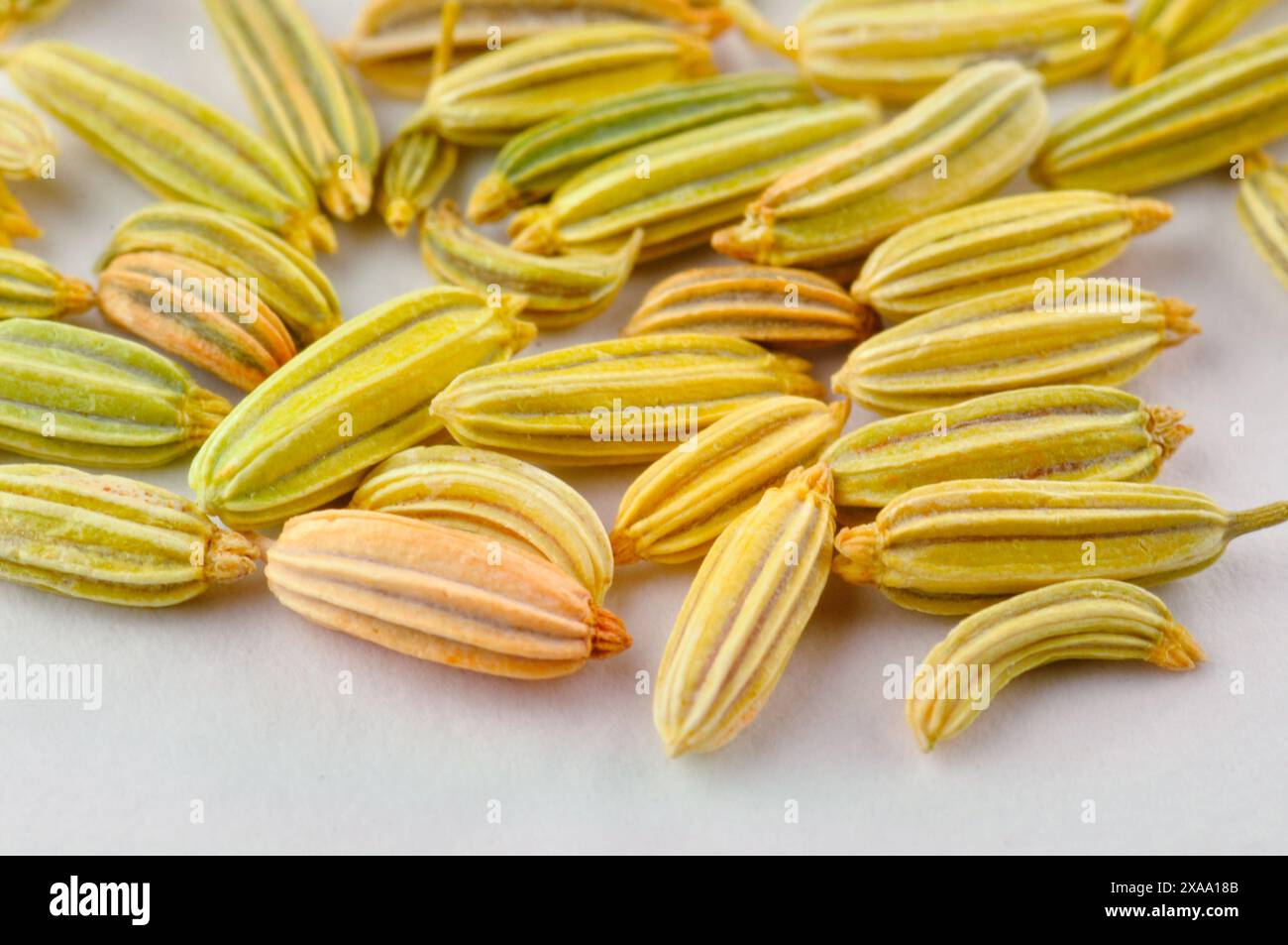 Heart of pune hi-res stock photography and images - Alamy