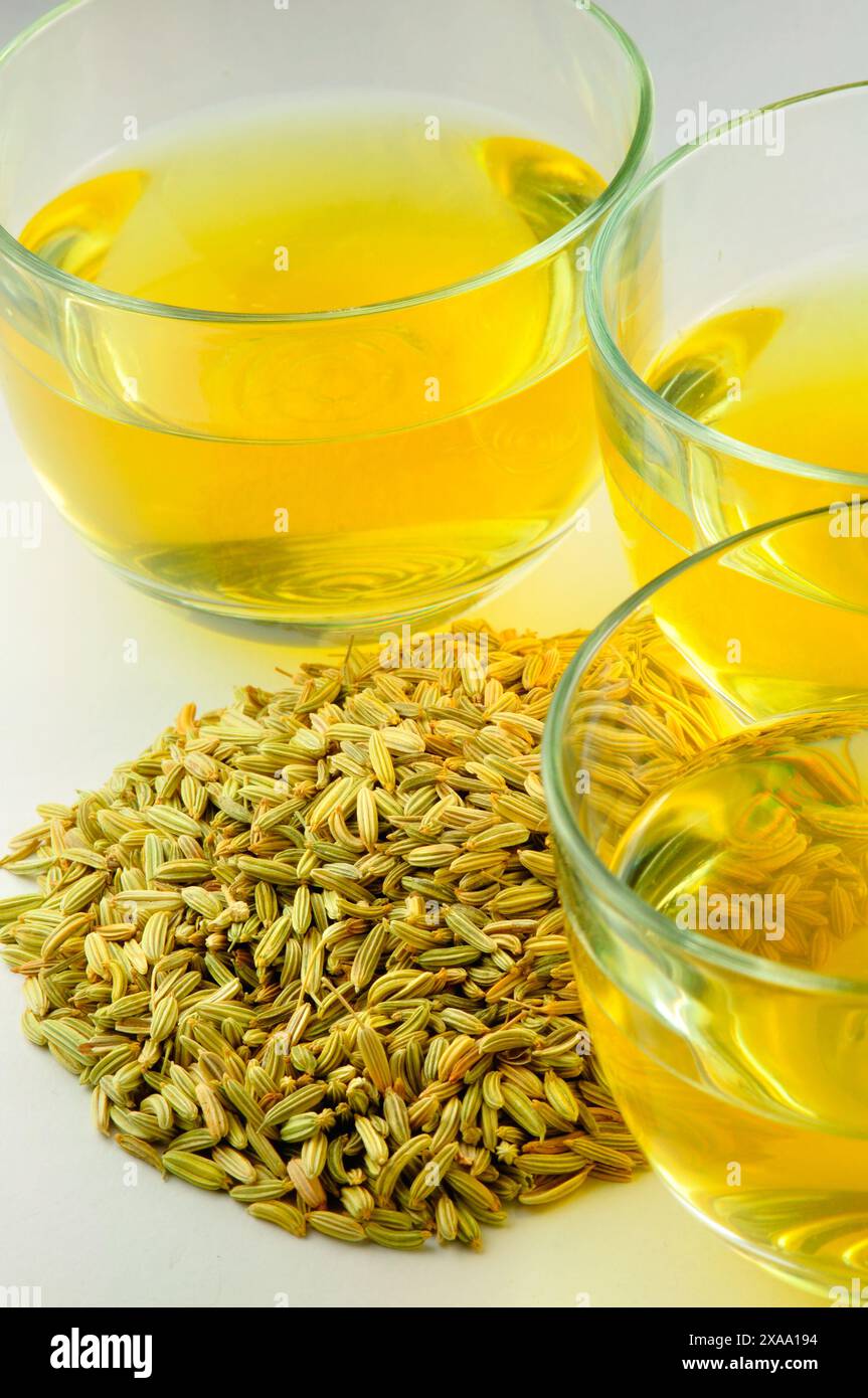 Spice fennel seeds saunf foeniculum hi-res stock photography and images ...