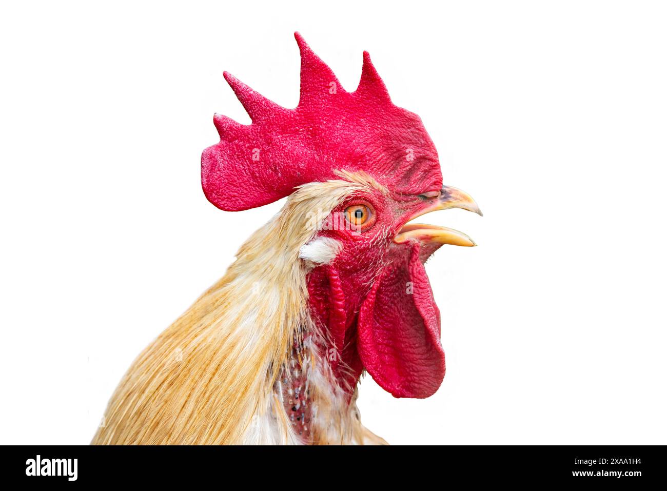 Flo hintergrund hi-res stock photography and images - Alamy