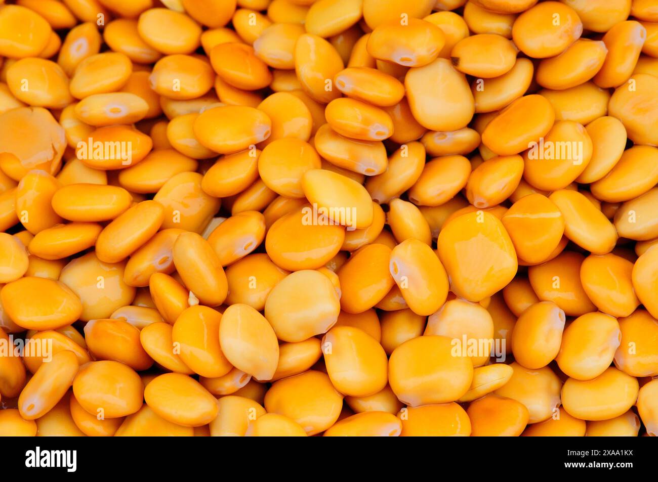 Lupini beans hi-res stock photography and images - Alamy