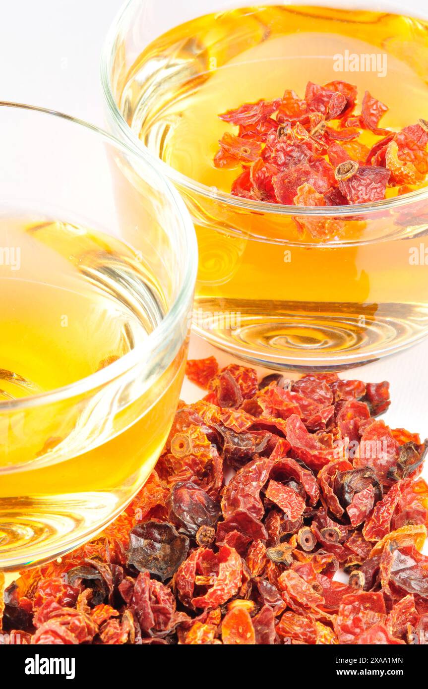 Medicinal herb-tea of the medicinal plant Dogrose, Rosa Canina Stock ...