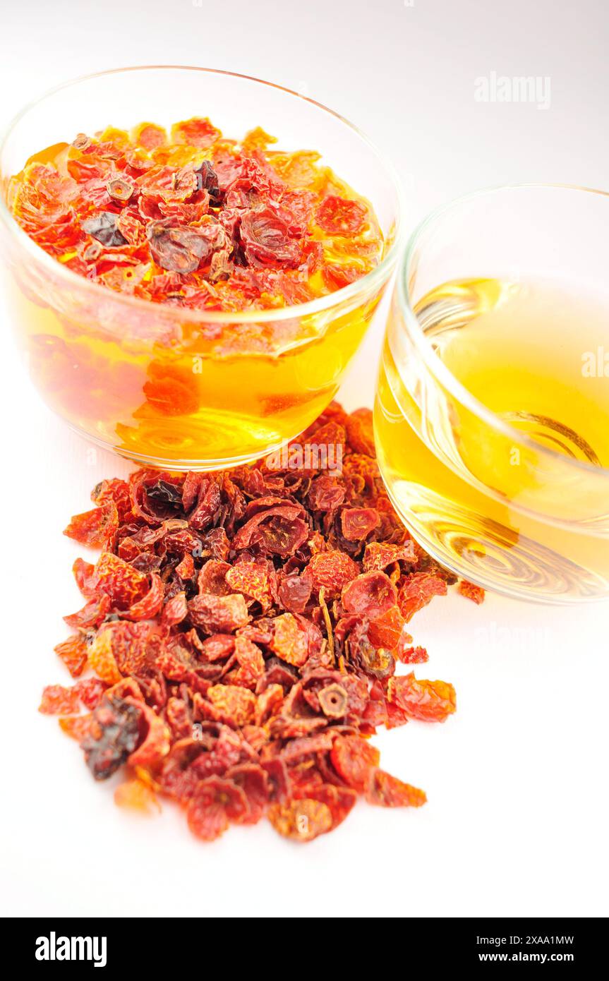 Medicinal herb-tea of the medicinal plant Dogrose, Rosa Canina Stock ...
