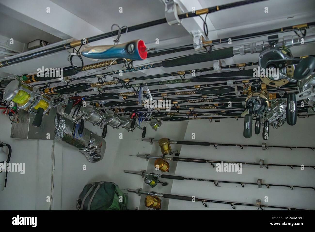 Fishing rods and holders on display in a fishing shop Stock Photo - Alamy