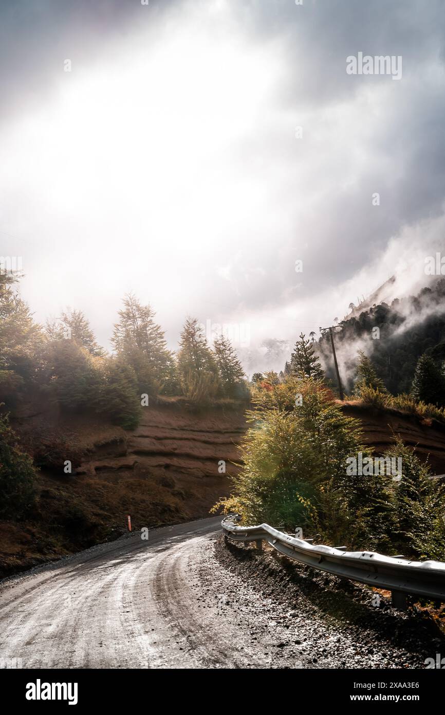 A muddy path with trees and rocks on the sides in a rural setting Stock ...
